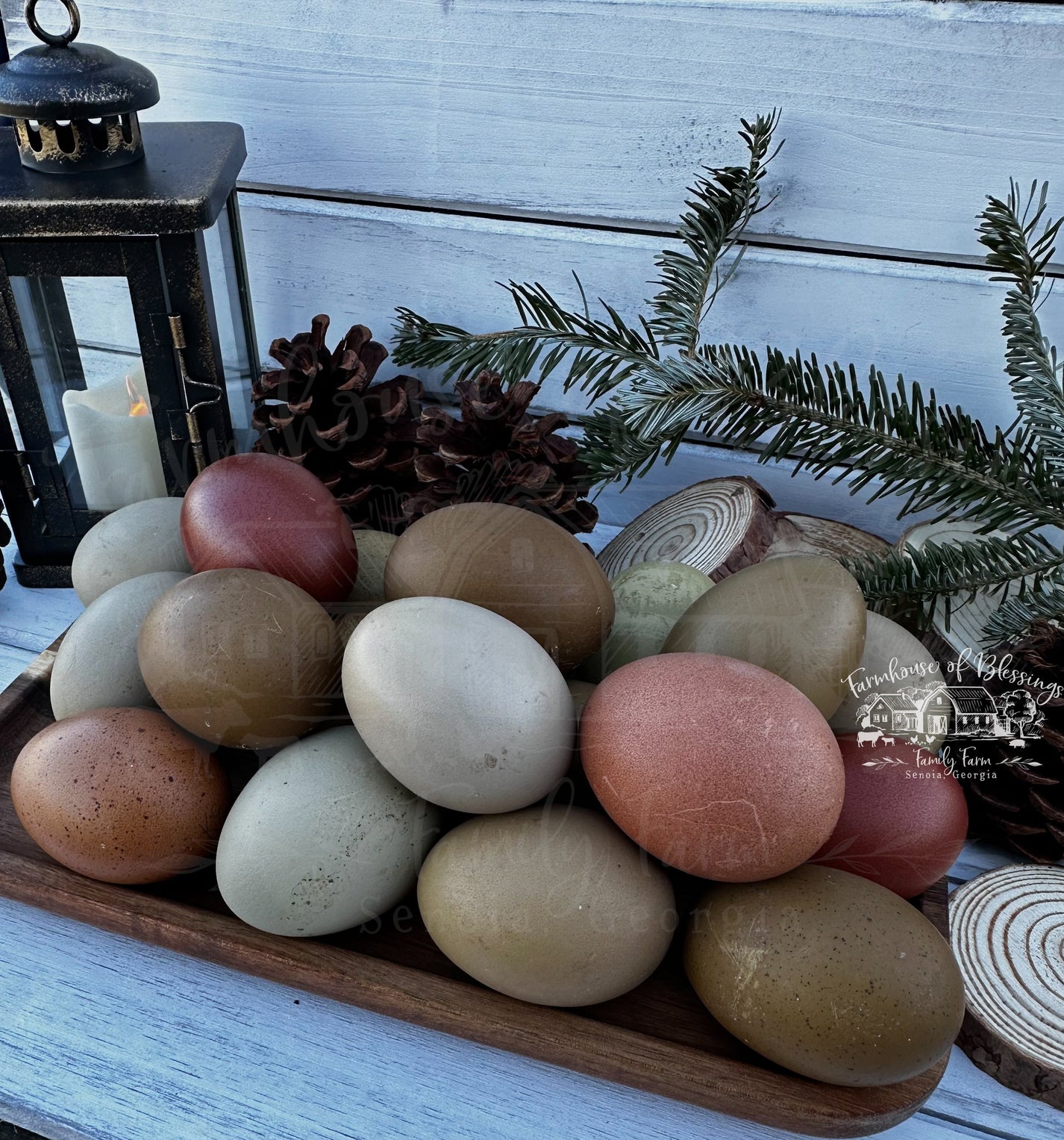 Rustic Eggers - Hatching Eggs - 1/2 dozen – Farmhouse of Blessings ...